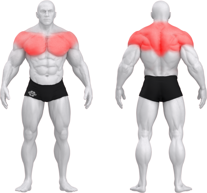 5014 BUTTERFLY AND BUTTERFLY REVERSE COMBO - gym80 International GmbH