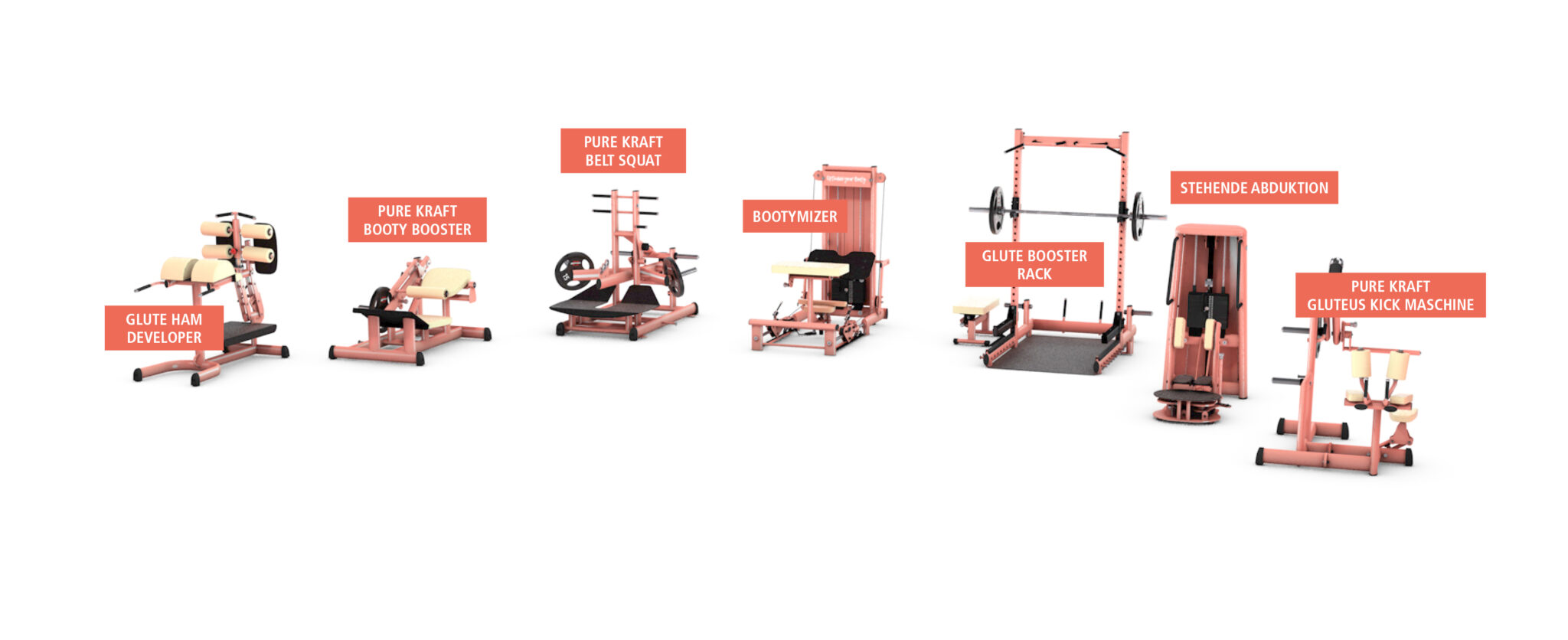 King of booty - gym80 International GmbH